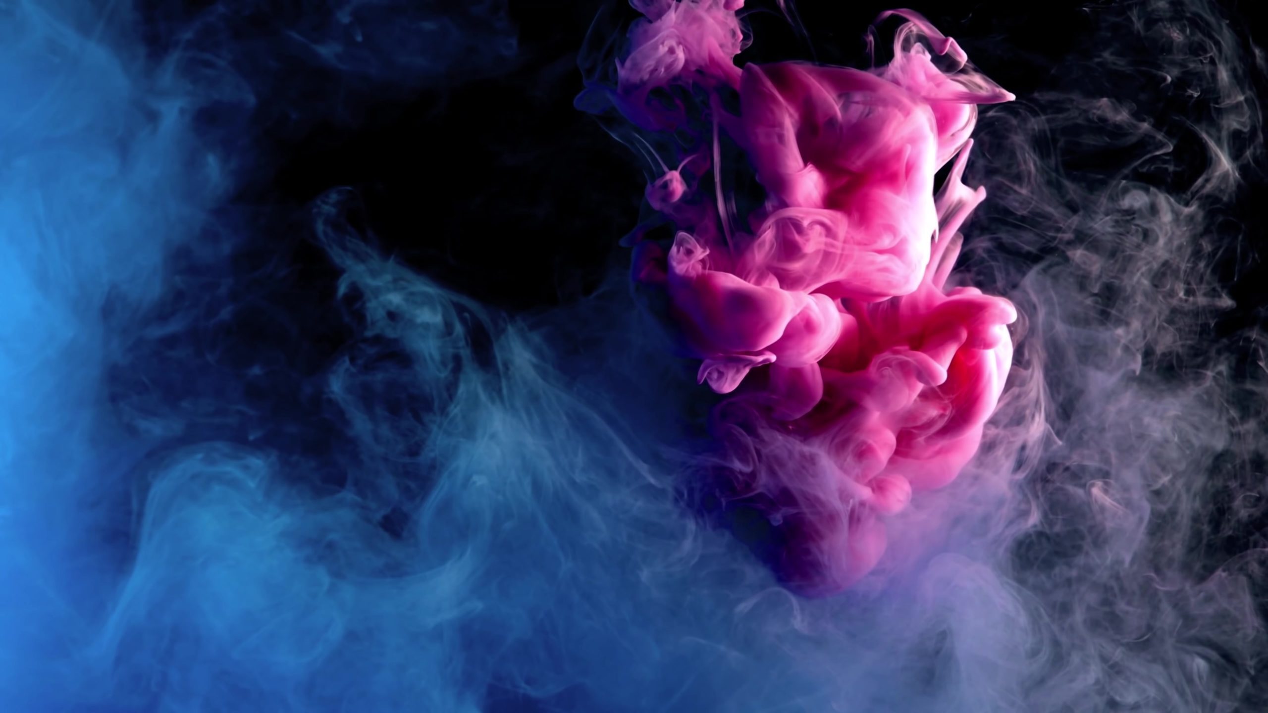 Pennypop sponsors Highview Athletic FC Girls Team for 2024 season ...