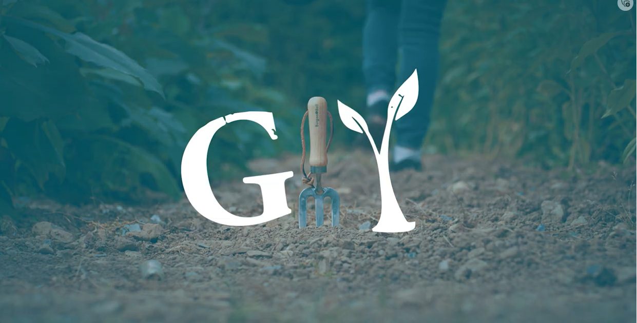 GIY - Grow it Yourself - Consultancy - Pennypop - Marketing Agency